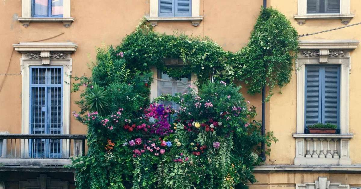 Jardiner sur son balcon - Pensez Sauvage